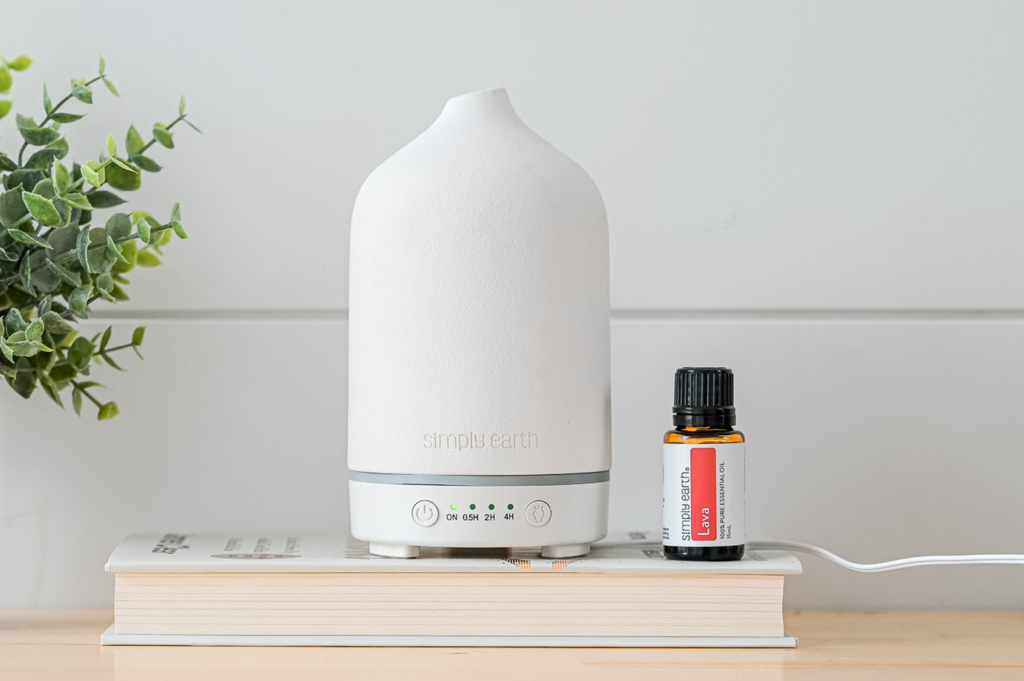 Simply Earth | Buy Stone Diffuser