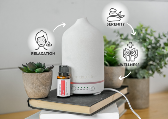 Simply Earth | Buy Stone Diffuser
